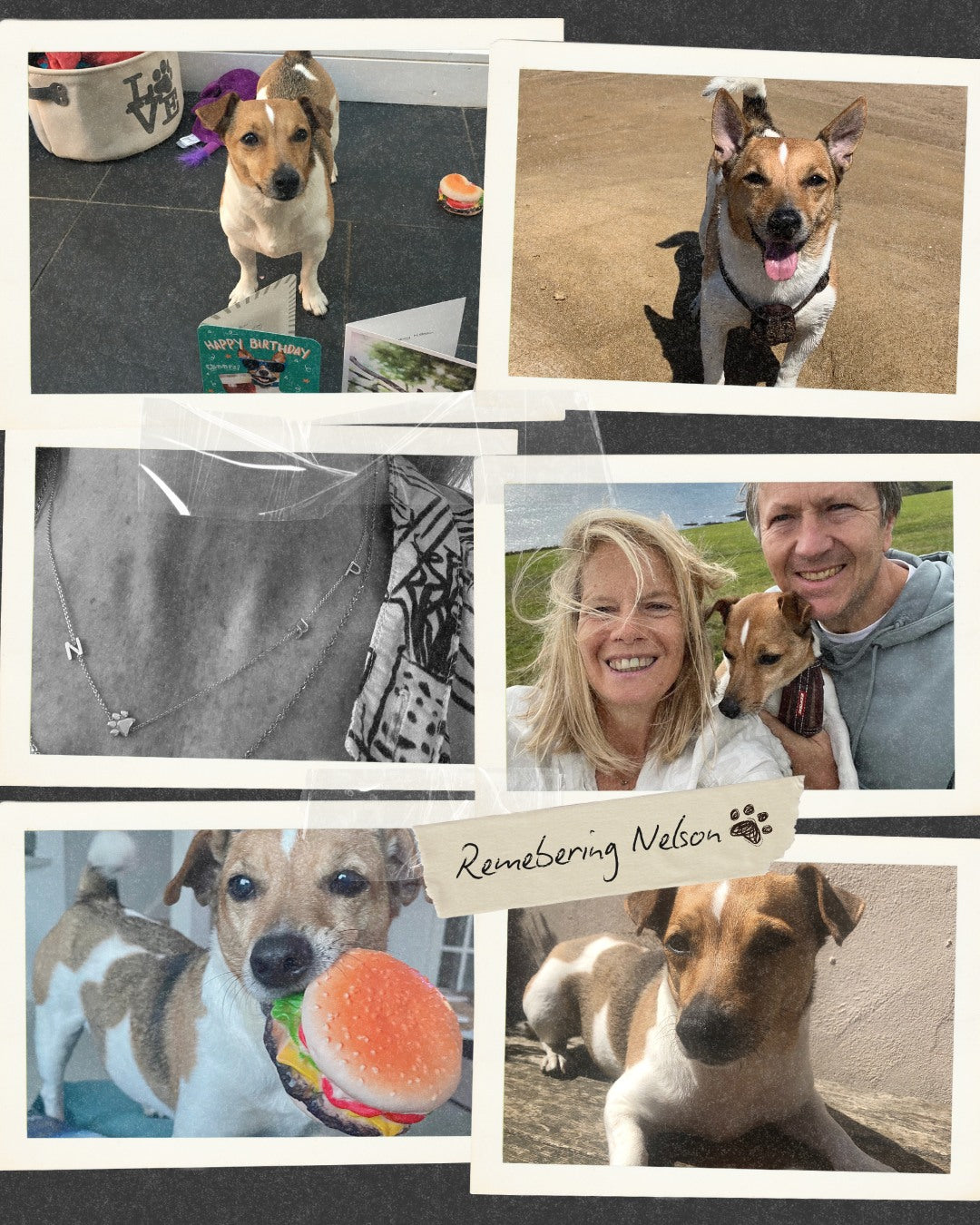 The Gift That Keeps on Giving: Paula's Story – Maya Brenner