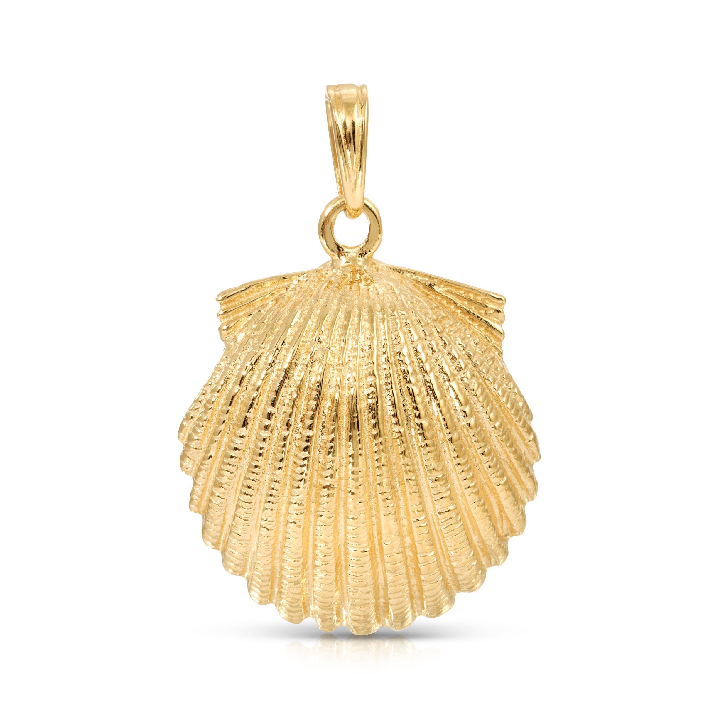 Golden Scallop Shell – Maya Brenner