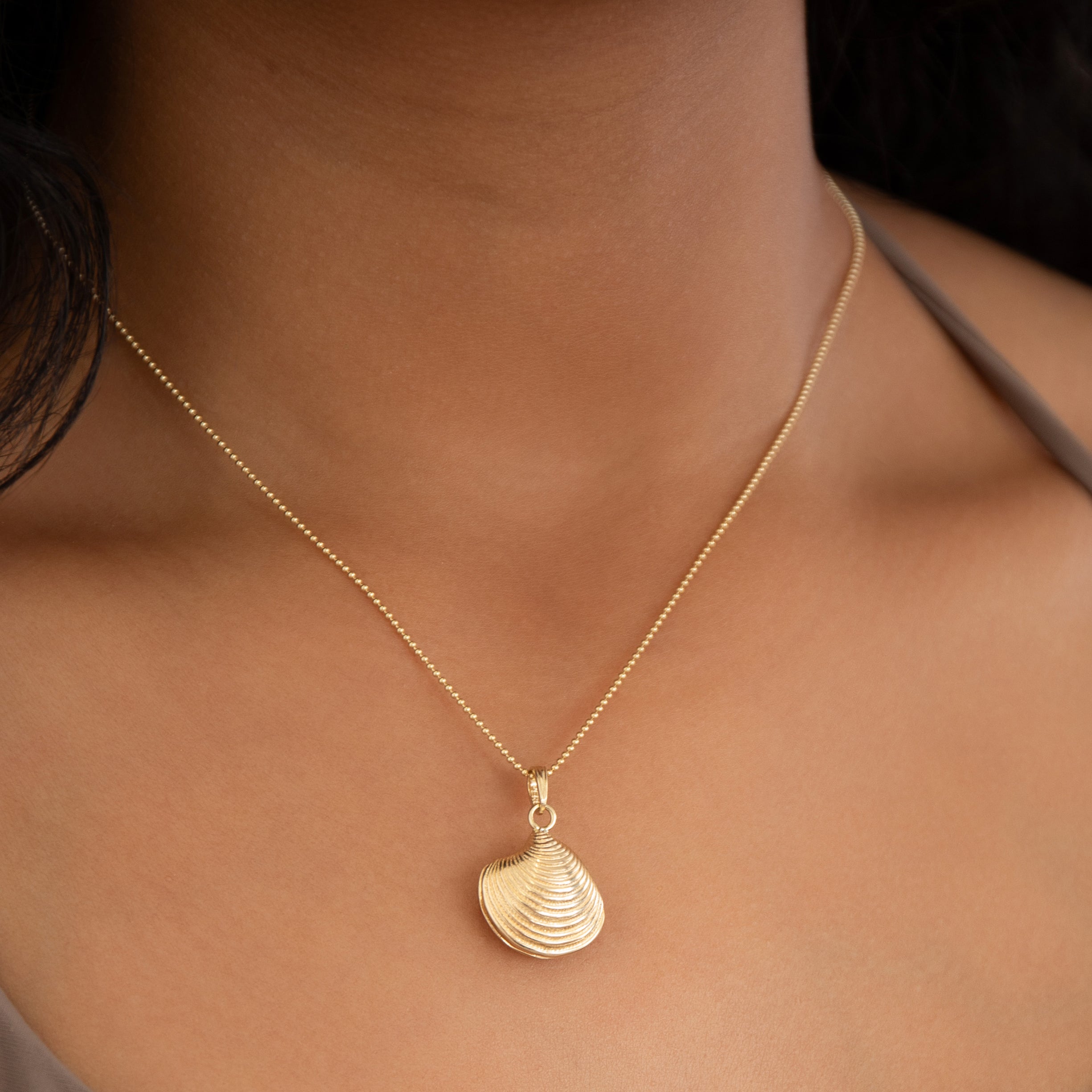 Golden Coast Shell – Maya Brenner